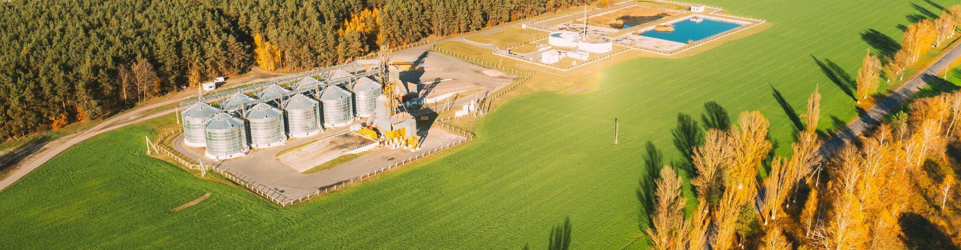 The Role of Bioenergy in Industrial Energy Diversification